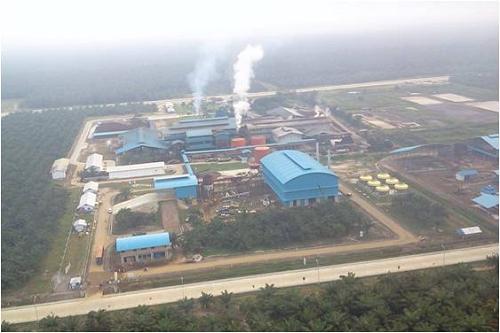 Kelapa Sawit | Palm Oil | Kernel Oil | Biodiesel | Industrial ...