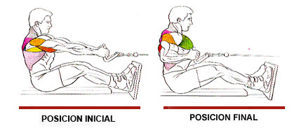 REMON SENTADO EN POLEA ~ RUTINAS DE VOLUMEN