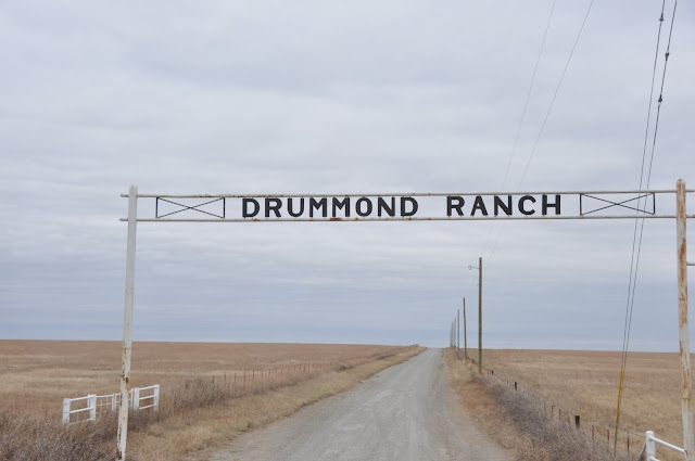 Susan's Blog: Picture a Day - The Drummond Ranch