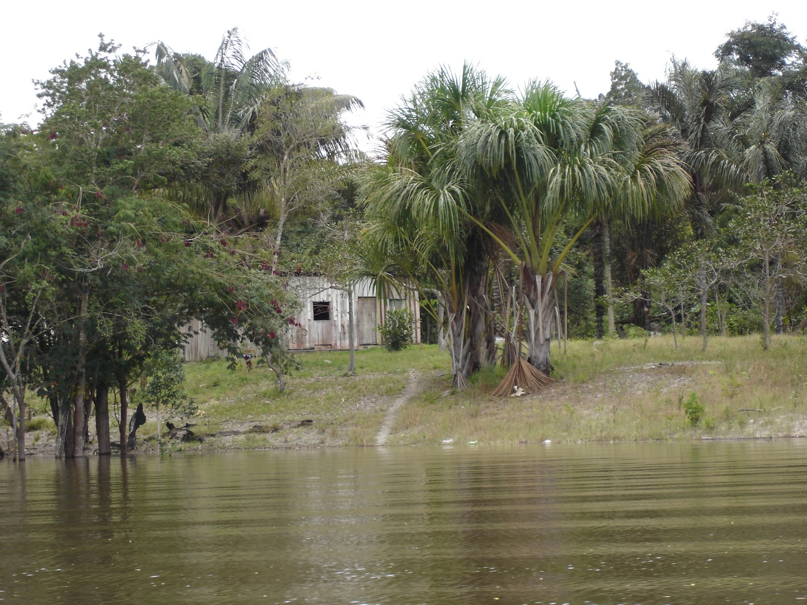 PROJETO POVOS RIBEIRINHOS: FAMÍLIA ROUXINOL AS MARGENS DO RIO TARUMÃ AÇÚ