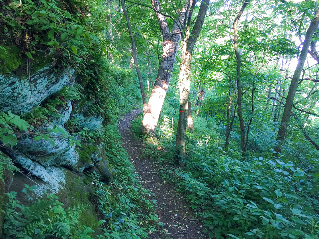 Biking and Hiking the Ice Age Trail Montrose Segment