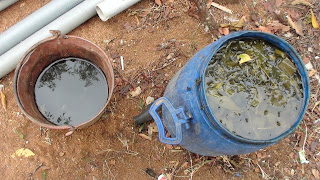 How traditional bio input reduces farming overheads? ~ First Organics