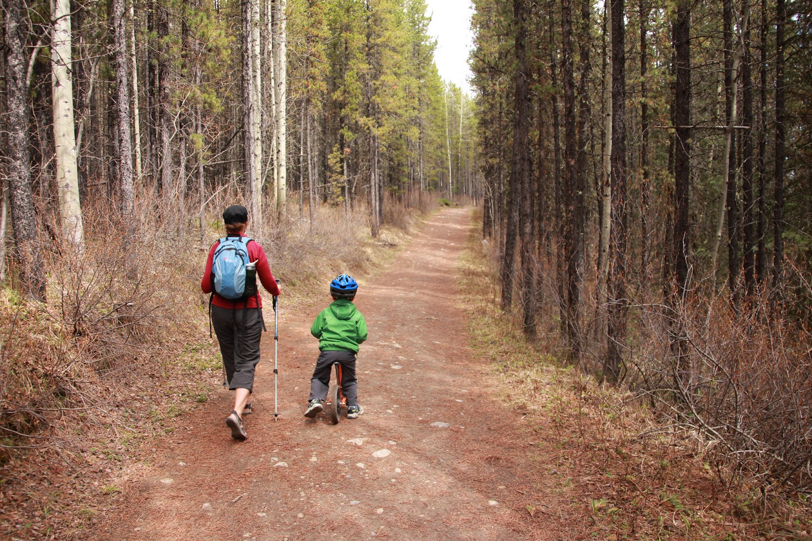 Family Adventures in the Canadian Rockies: Kids on Wheels - An ...
