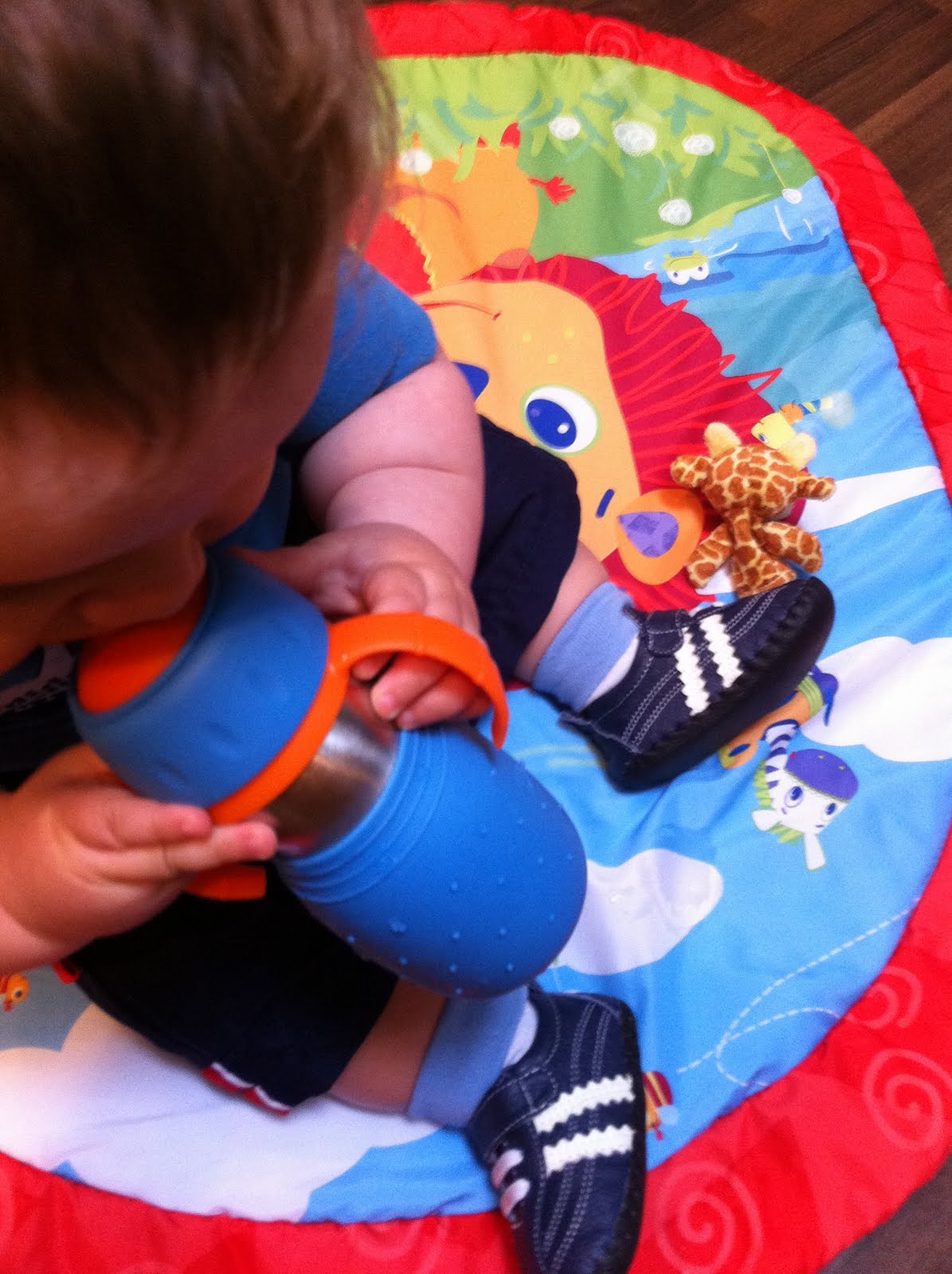 The Safe Sippy2 Feature & Giveaway