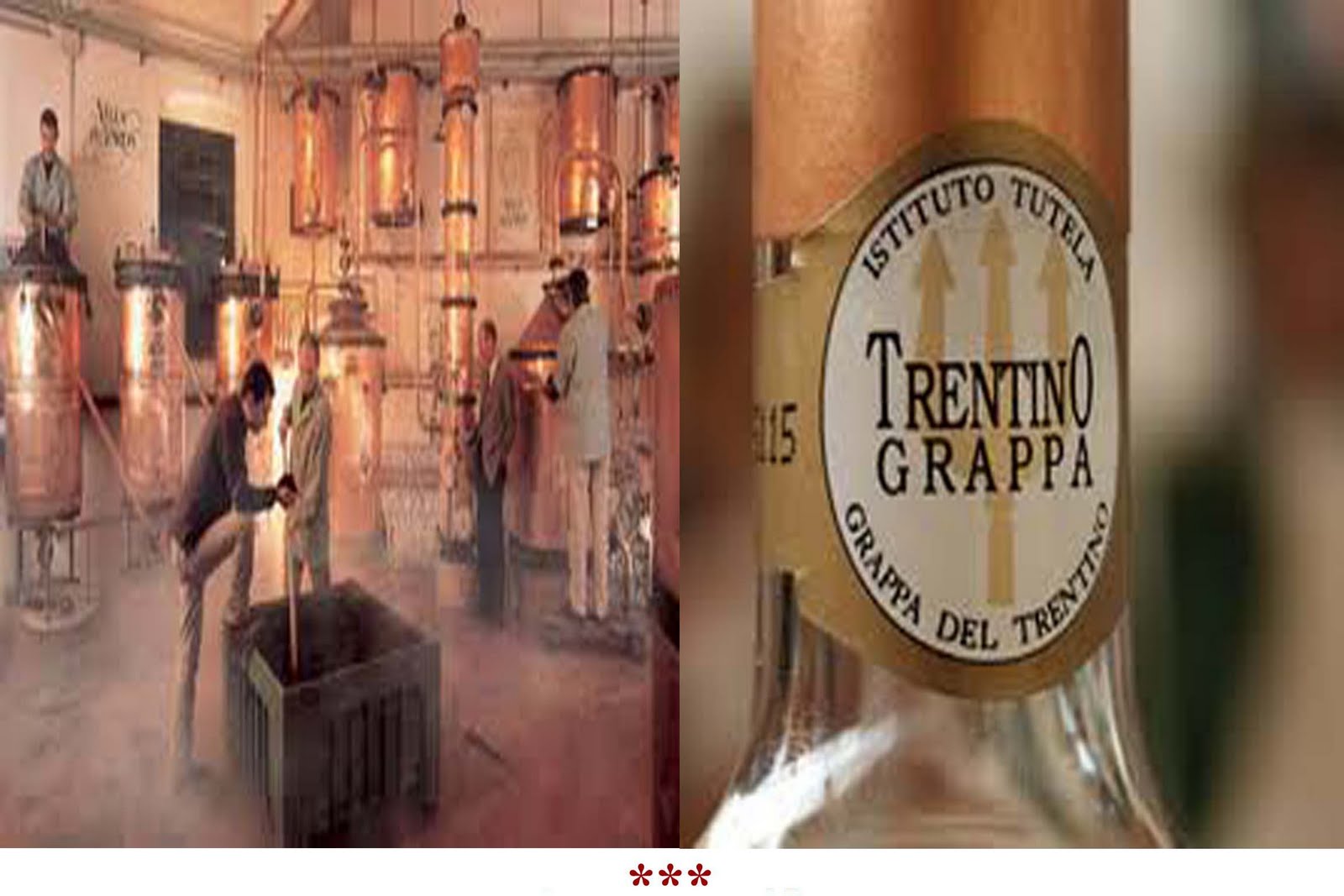 Grappa, origen, notas históricas, destilación, tipos de grappa, etc.