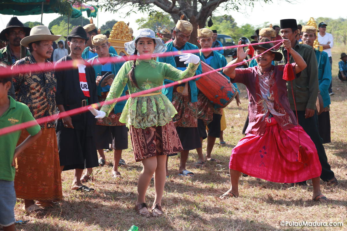 Sejarah, Tradisi dan Kontes Sapi Sonok di Madura - Gerbang Pulau Madura