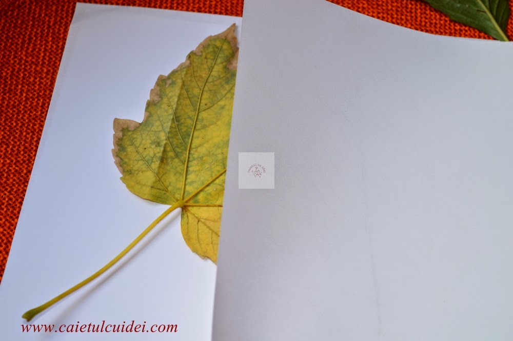 Activitati practice cu frunze: desenam prin hasurare - CAIETUL CU IDEI