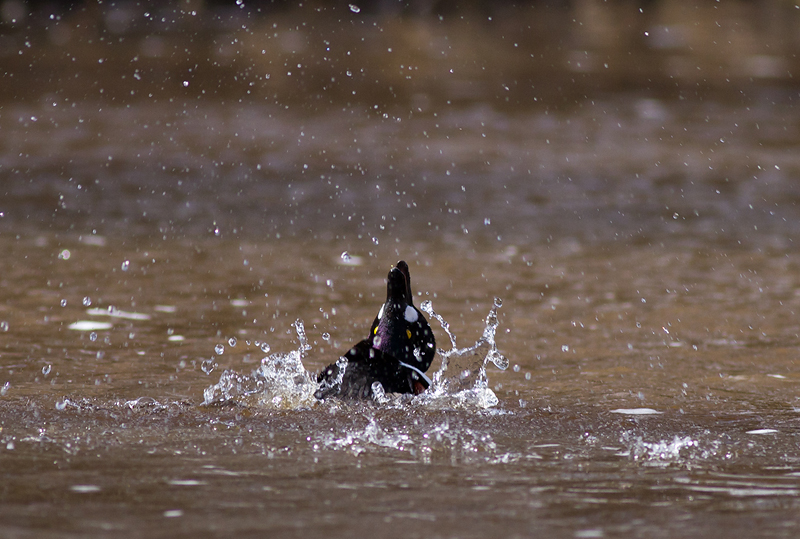 Zsombor Károlyi's Photo Blog: Spring break - Part 1