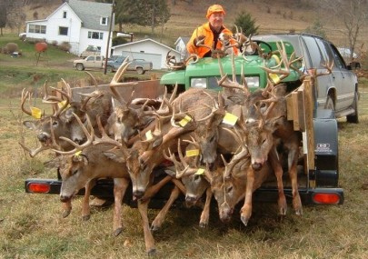 PENGAJARAN DAN PEMBELAJARAN SAINS TAHUN 6 VANISHED & ENDANGERED ...