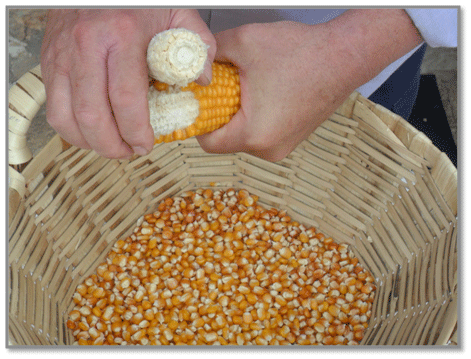 MAICES DEL NANSA: octubre 2013