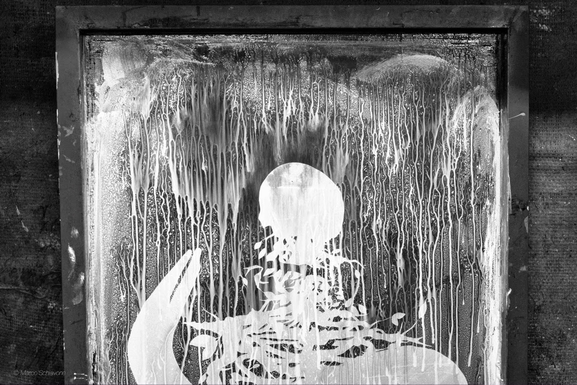 Alexis Diaz “The Cage” Limited Edition Screen Print – Available ...