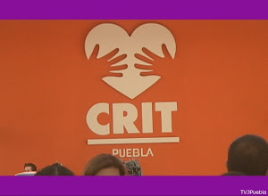 CRIT: CARACTERÍSTICAS DEL SISTEMA CRIT