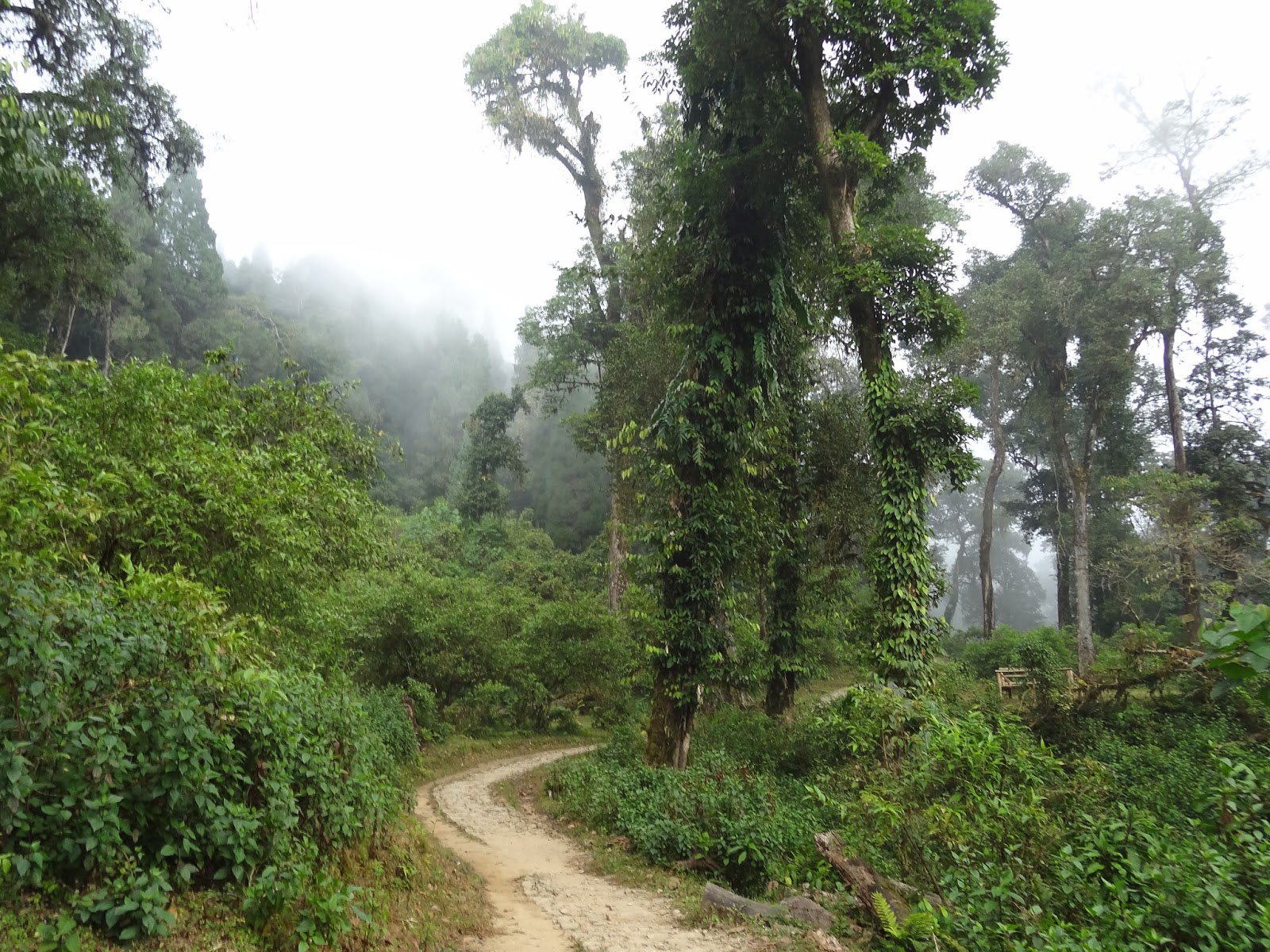 AMITRAV: LAVA, LOLEYGAON, RISHOP & NEORA VALLEY