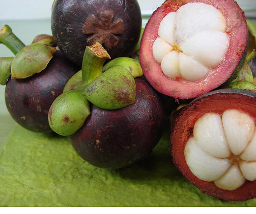 Pró - Vida Saudável: Mangostin