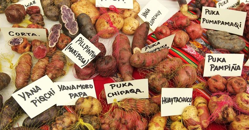 Peru: el país de las 3,000 papas | Viajes del Perú - Travel Blog sobre ...