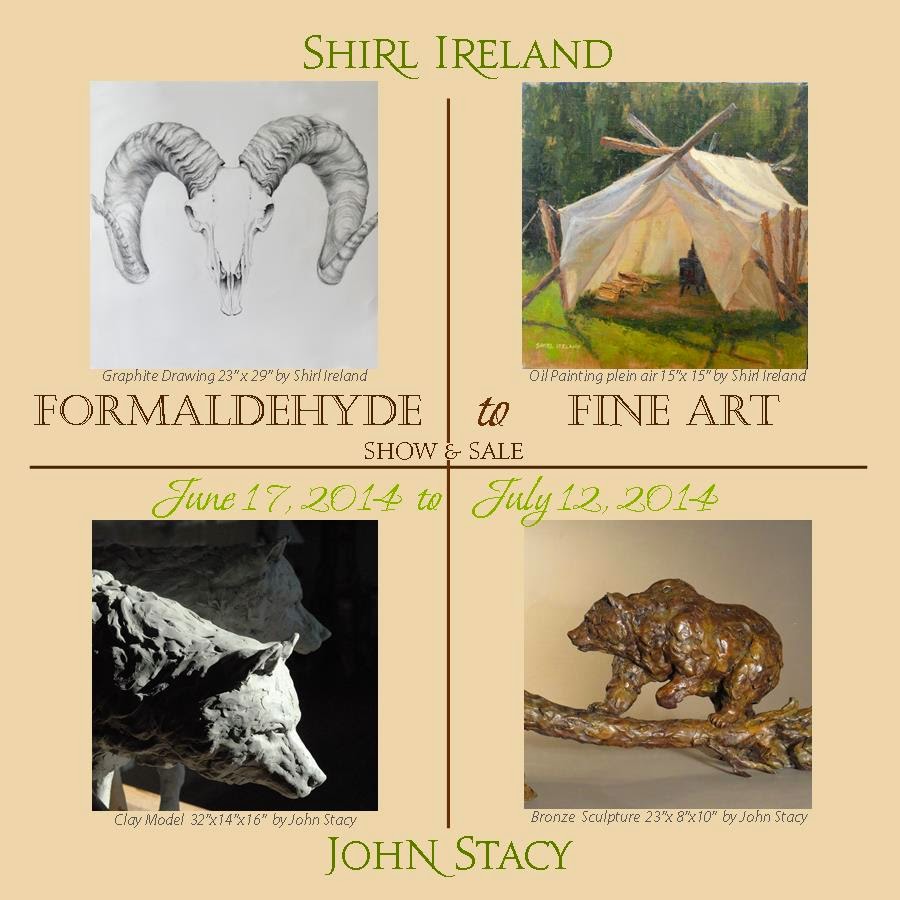 Shirl Ireland's Art Blog