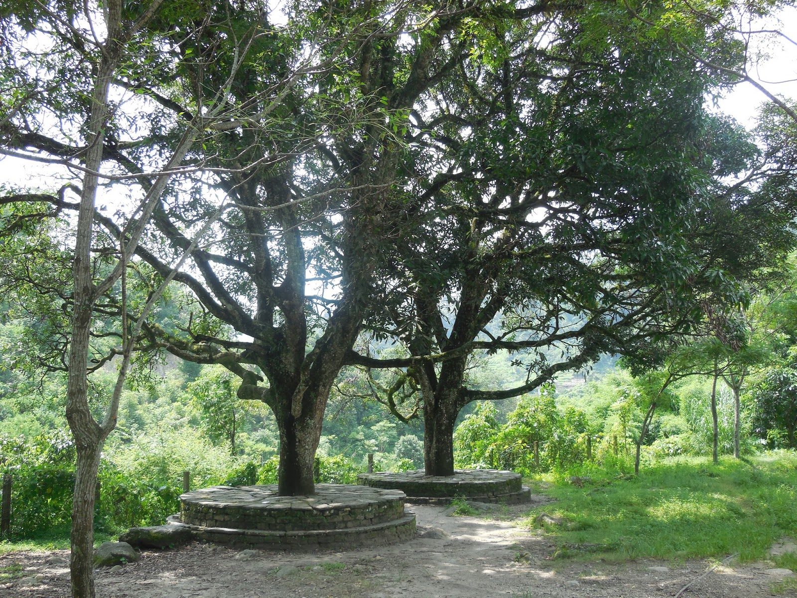 Ann Marcer in Nepal: Chautara - resting places
