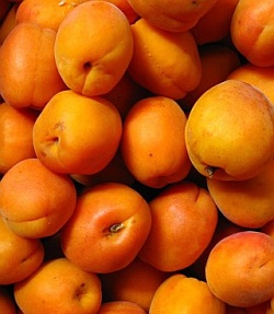 Apricot Pictures