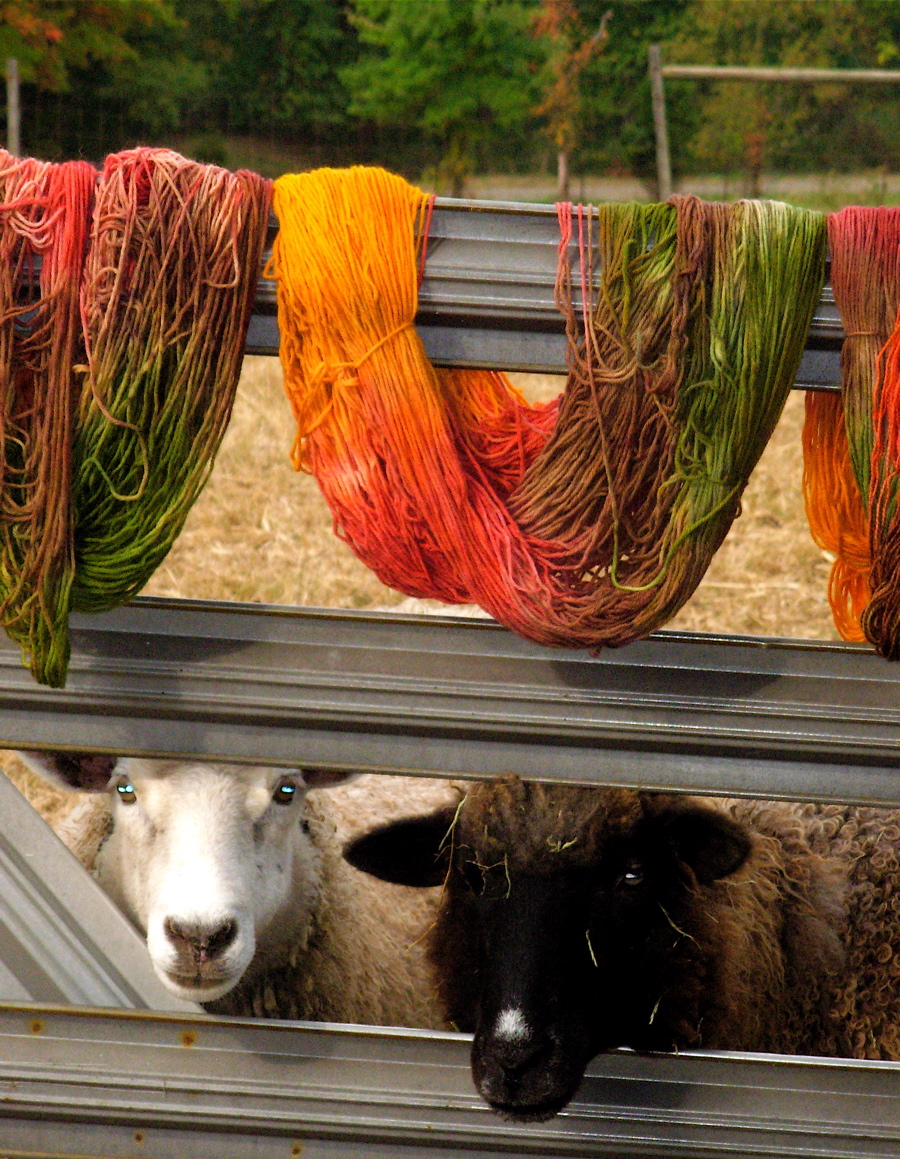 Hey, it's Dalis!: Welcoming Autumn