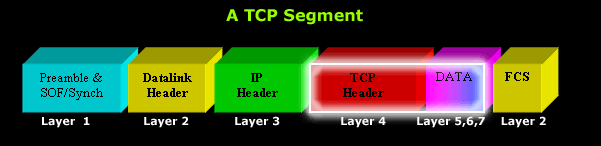 Something I know...: The TCP Header/Segment
