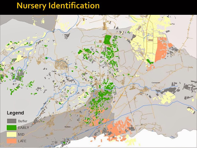 Tarlac Mill District Office: Tarlac Mill District Variety Programming ...