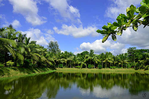 Durga Sagor in Barisal : All About Bangladesh