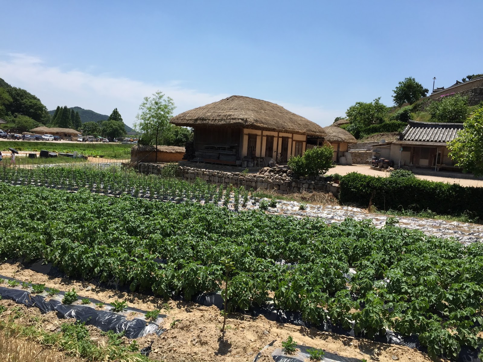 abbles in stereo: Yangdong Folk Village, Gyeongju (Day 4)