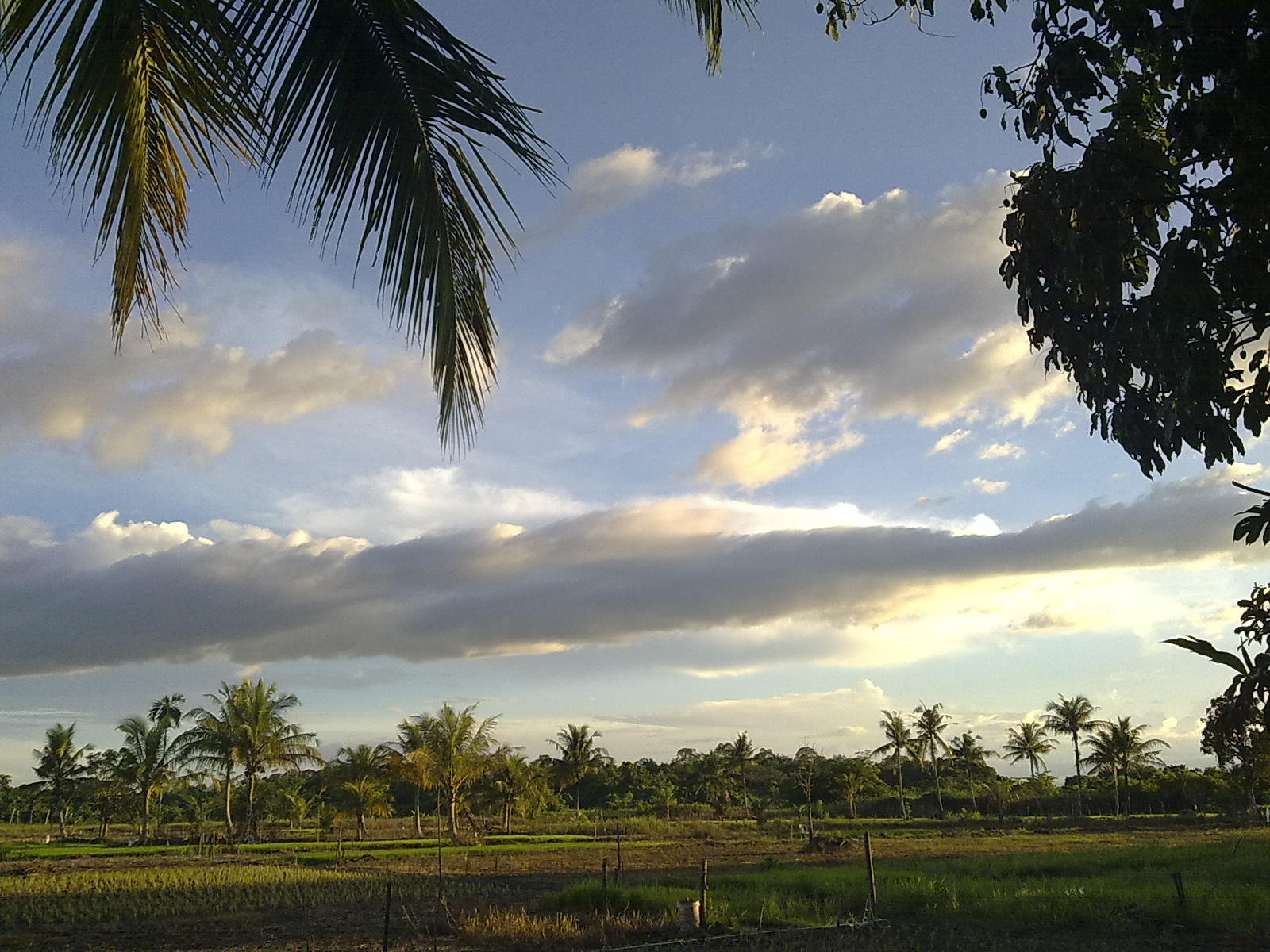 Memaknakan kehidupan dengan banyak memberi...: pemandangan Kampung Mang ...
