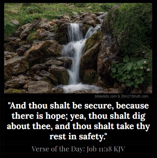 2 Timothy 2:15 Truth: Verse of the Day: Job 11:18 KJV