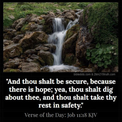 2 Timothy 2:15 Truth: Verse of the Day: Job 11:18 KJV