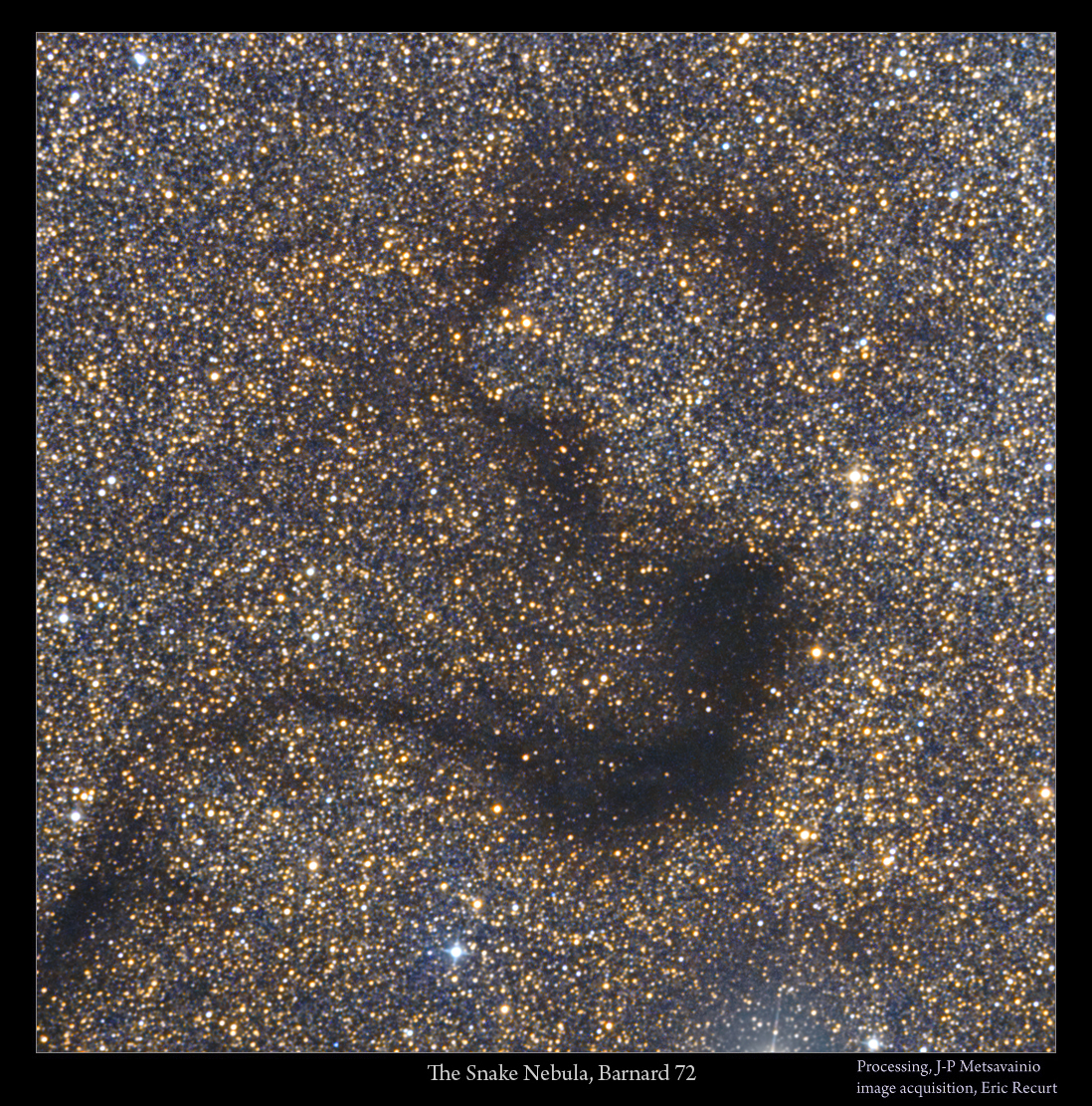 Astro Anarchy: Barnard 72, the Snake Nebula