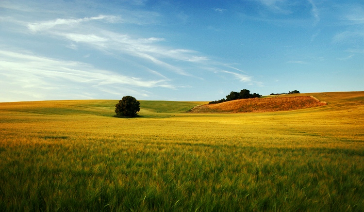 Imagini de Vara - Wallpaper Vara