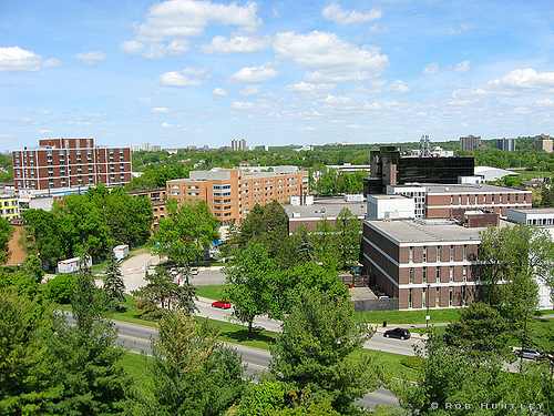 Carleton University is a comprehensive university located in the ...