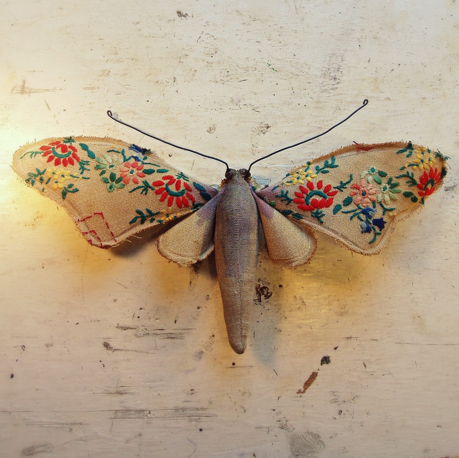 Fatter moth bodies.......