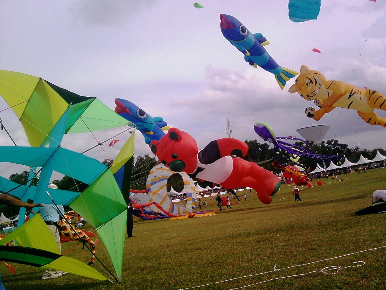 SCARLETT'S PETALS: Ben Ashaari pun cuba menaikkan layang-layang di ...