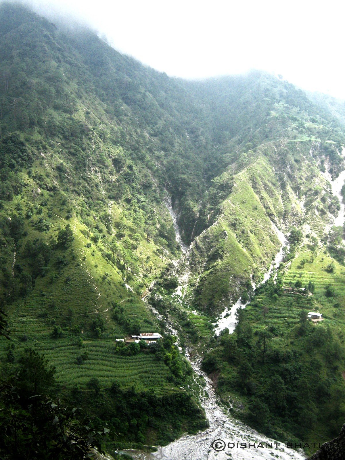 Panwadi Tales: Trek to Devi Pindi - A Photoblog