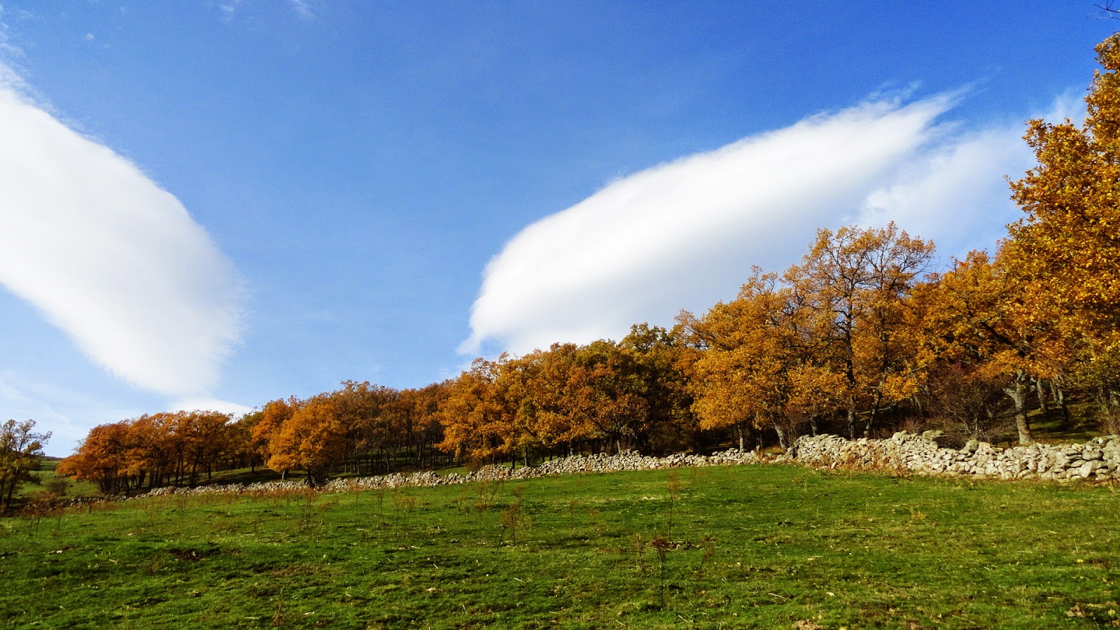 EL BICIERRANTE: NACIMIENTO DEL ADAJA Y VALLE DEL CORNEJA