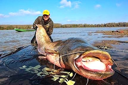 World In Deep: Fishermen Hunt Monster Mutant Fish In Chernobyl