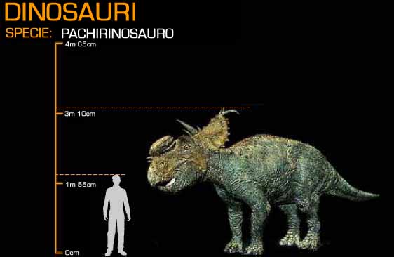 Fossilimostre: Pachirinosaurus