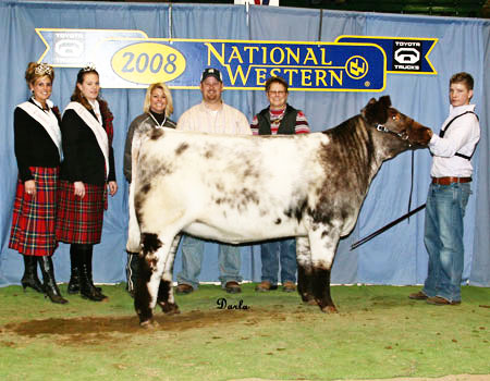 Ranch House Designs Blog: Proper Cattle Showmanship Attire