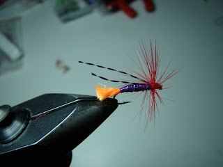 Pescuit cu musca artificiala: Taparina ROSIOARA