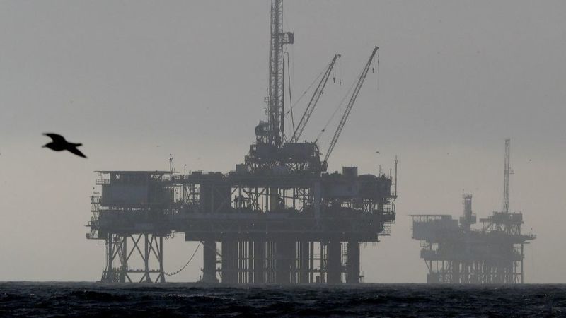 Sea Save Foundation "Ocean Week in Review" April 26, 2019: We Gather ...