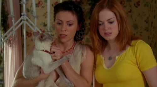 PandaTV: Charmed 5.18 'Cat House'