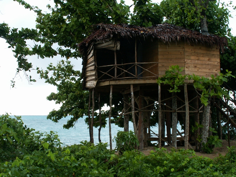 Helloo Samoa!: Saanapu Village and the tree house