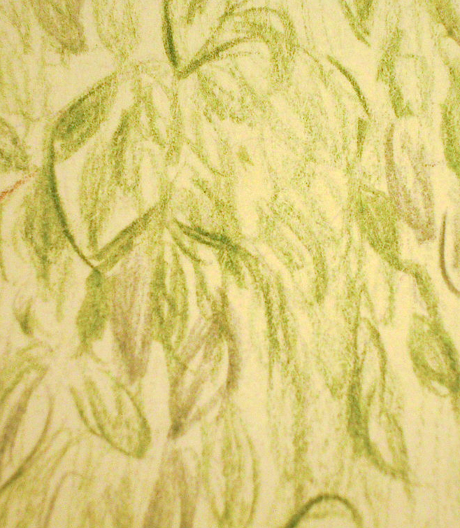 An Elephant a Day: Elephant No. 277: Hidden Faces Illusion