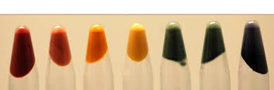 SENTHIL PRABHU SIVASAMY: BACTERIAL PIGMNETS ( CELL BIOLOGY)