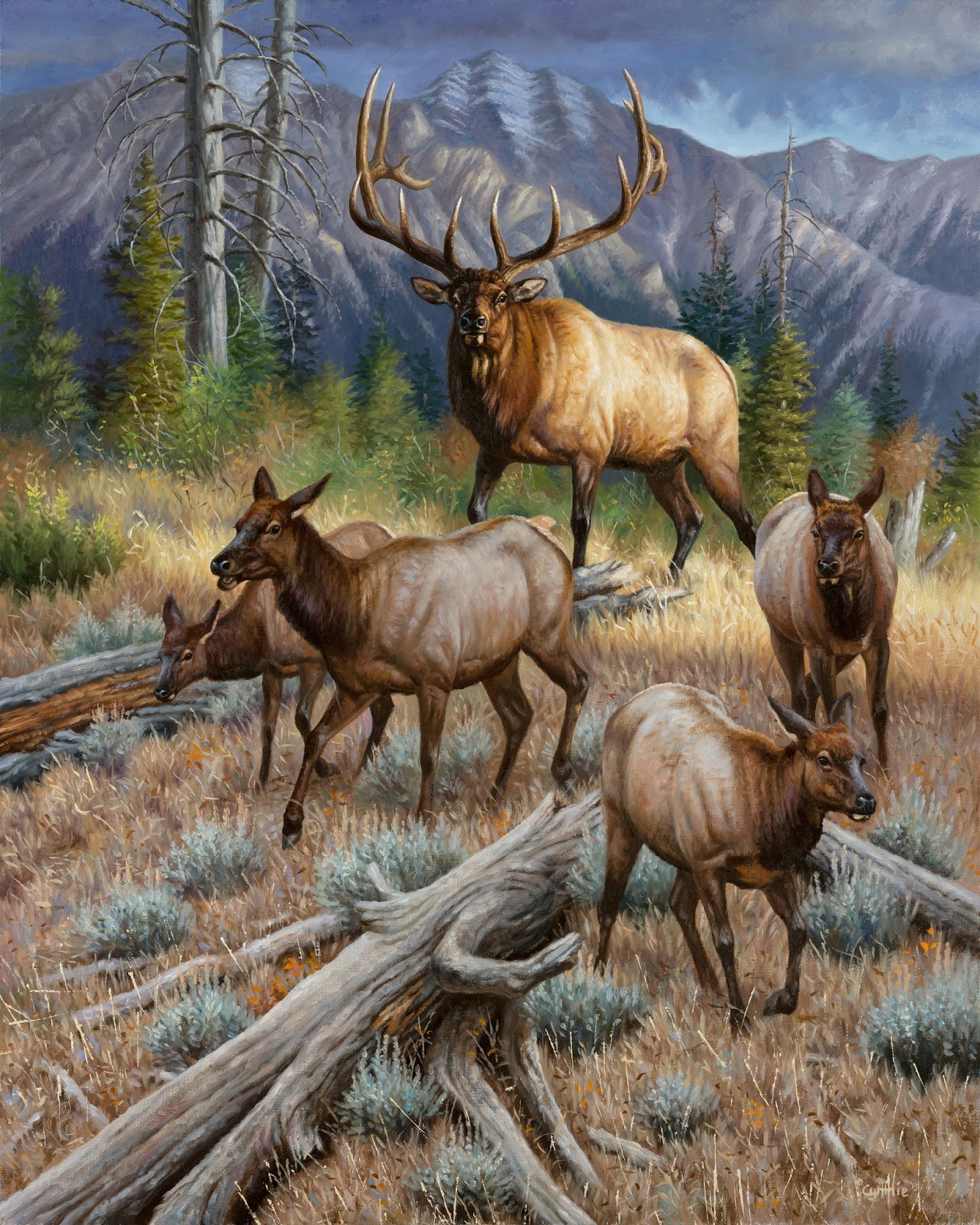 artcynthie.jpg (1280×1600) | Hunting art, Elk pictures, Wildlife artists