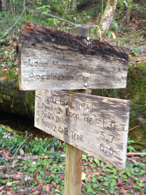 900 miles: Twentymile - Long Hungry Ridge - Gregory Bald - Wolf Ridge ...