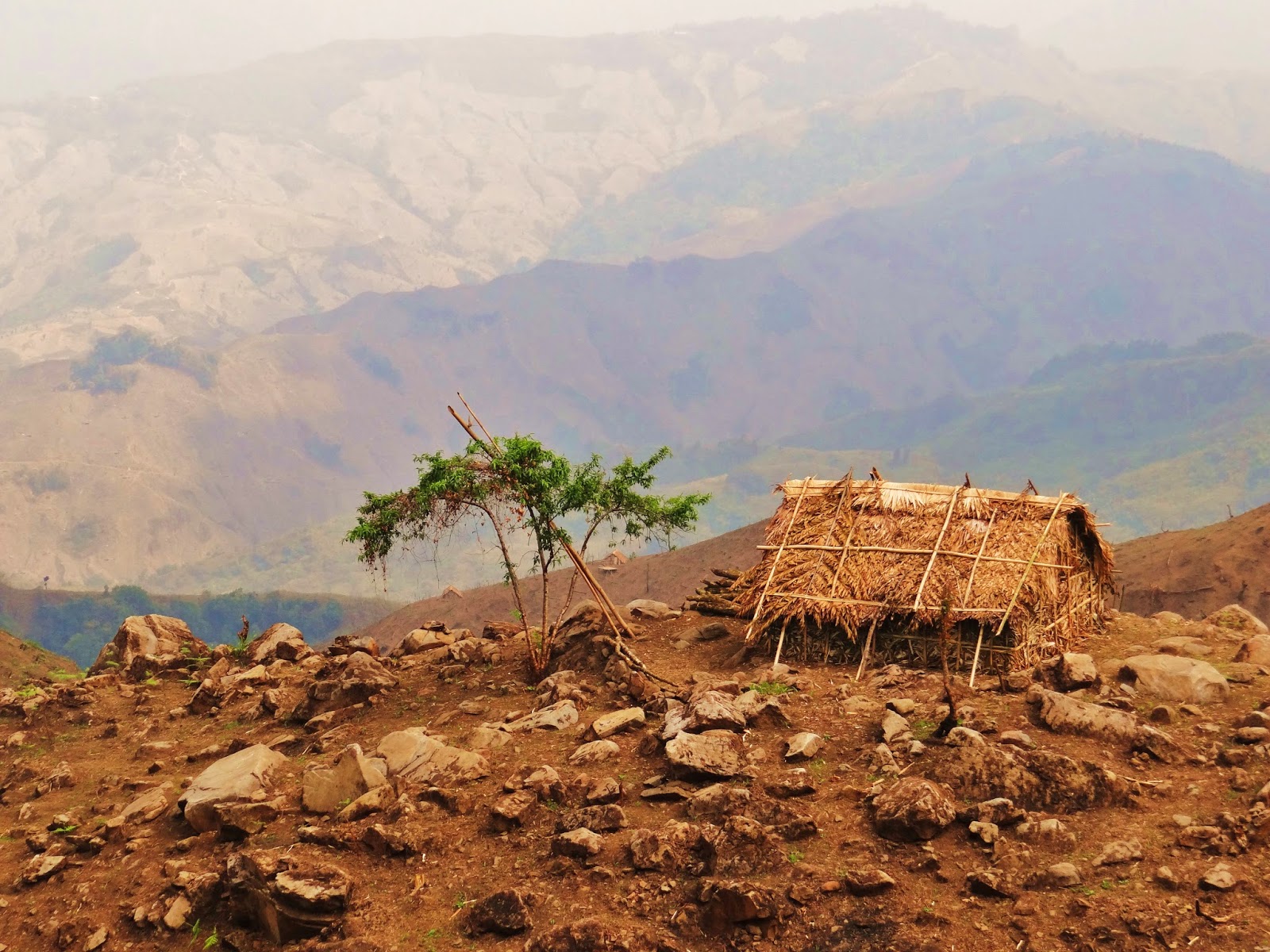 THE WANCHO: ENCHANTED GLIMPSE OF THE WANCHO INHABITED LONGDING DISTRICT ...