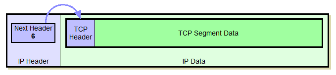 CCIE 400-101: Network Principles - IPv4 Options and IPv6 Extension Headers